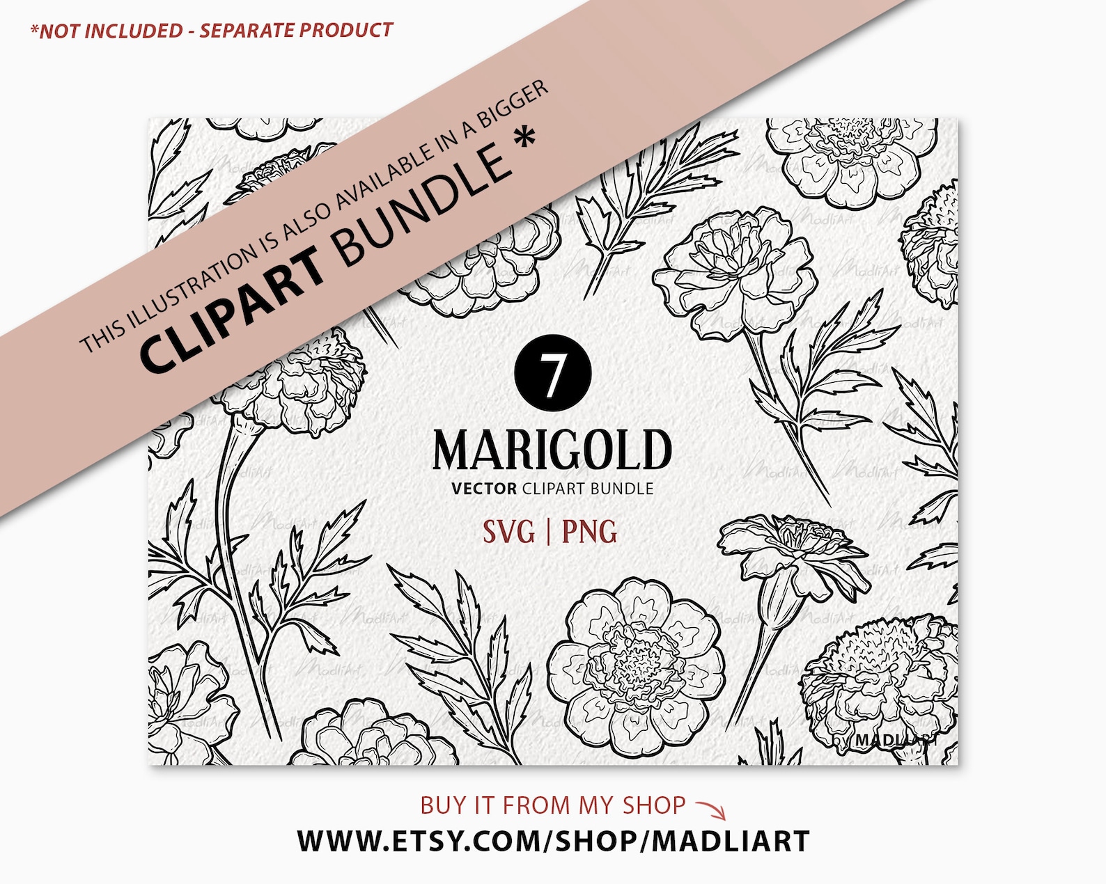 Marigold SVG Clipart. Spring Marigold Vector Blossom. Flower Stalk Line ...