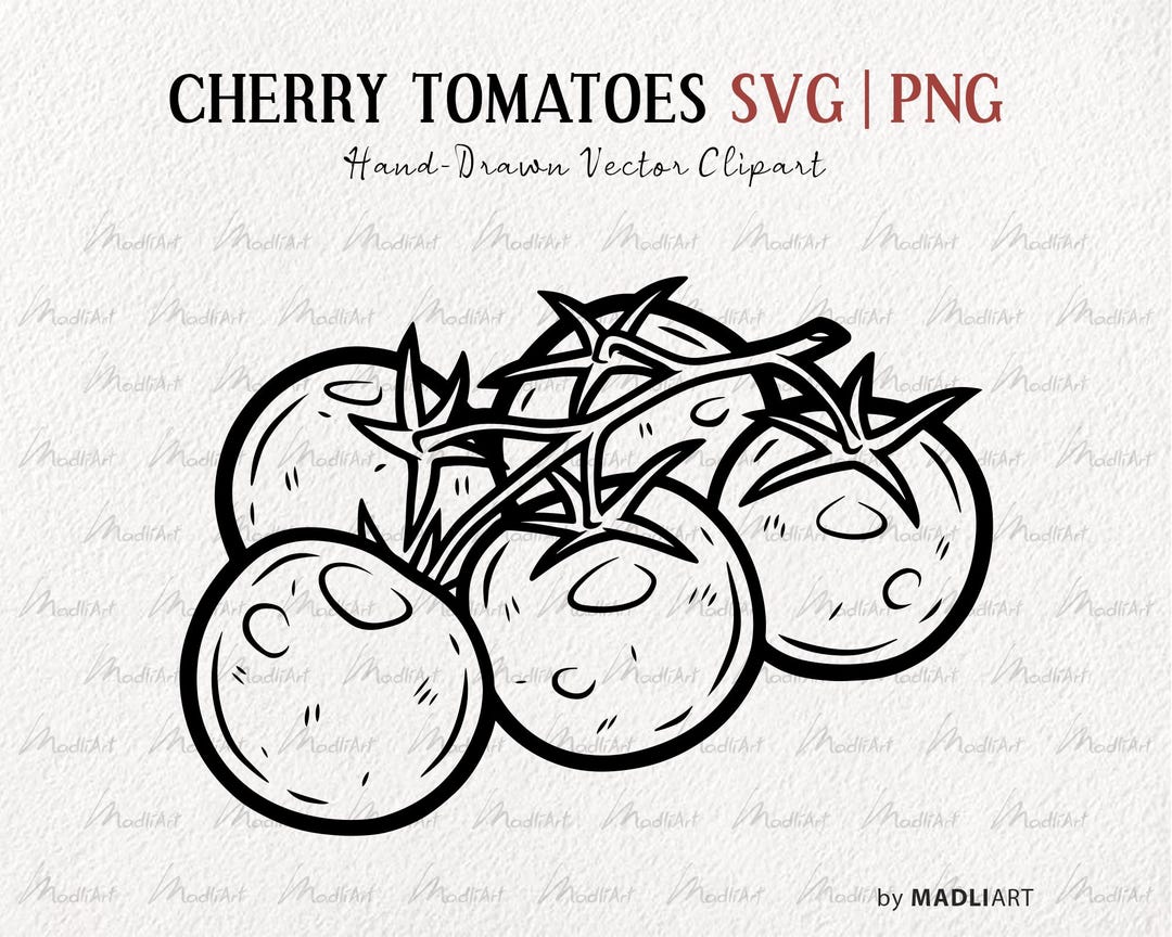 Cherry Tomatoes SVG Clipart. Tomato Vector Line Drawing. Tomato ...