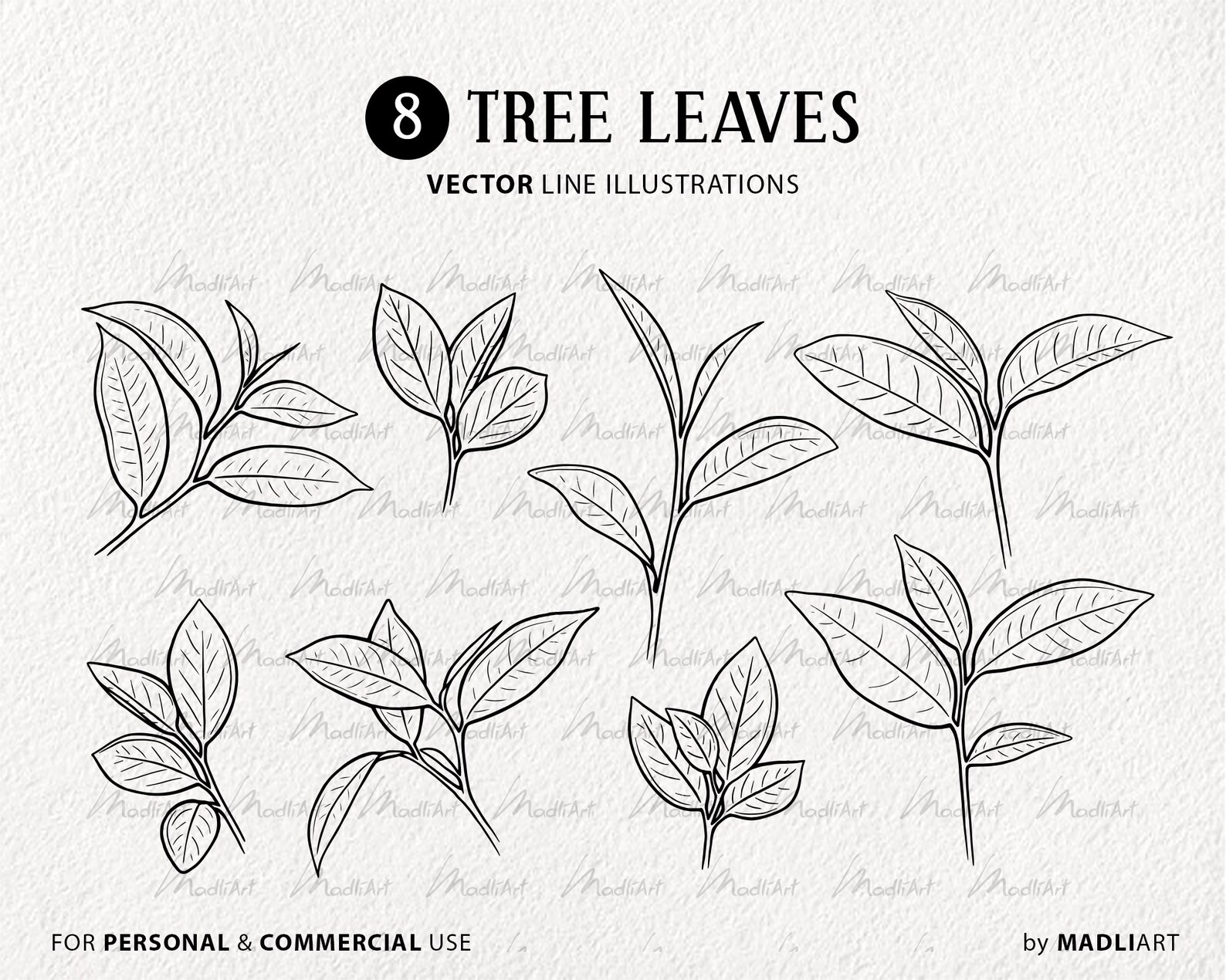 Small Leaves SVG Clipart Bundle. 8 Vector Spring Leaves. Botanical Line ...