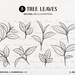 Small Leaves SVG Clipart Bundle. 8 Vector Spring Leaves. Botanical Line ...