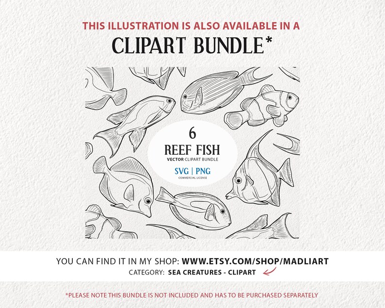 Regal Blue Tang Vector Clipart. Coral Reef Fish SVG Drawing. - Etsy