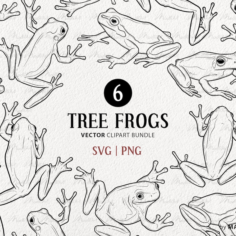 Frog Svg - Etsy