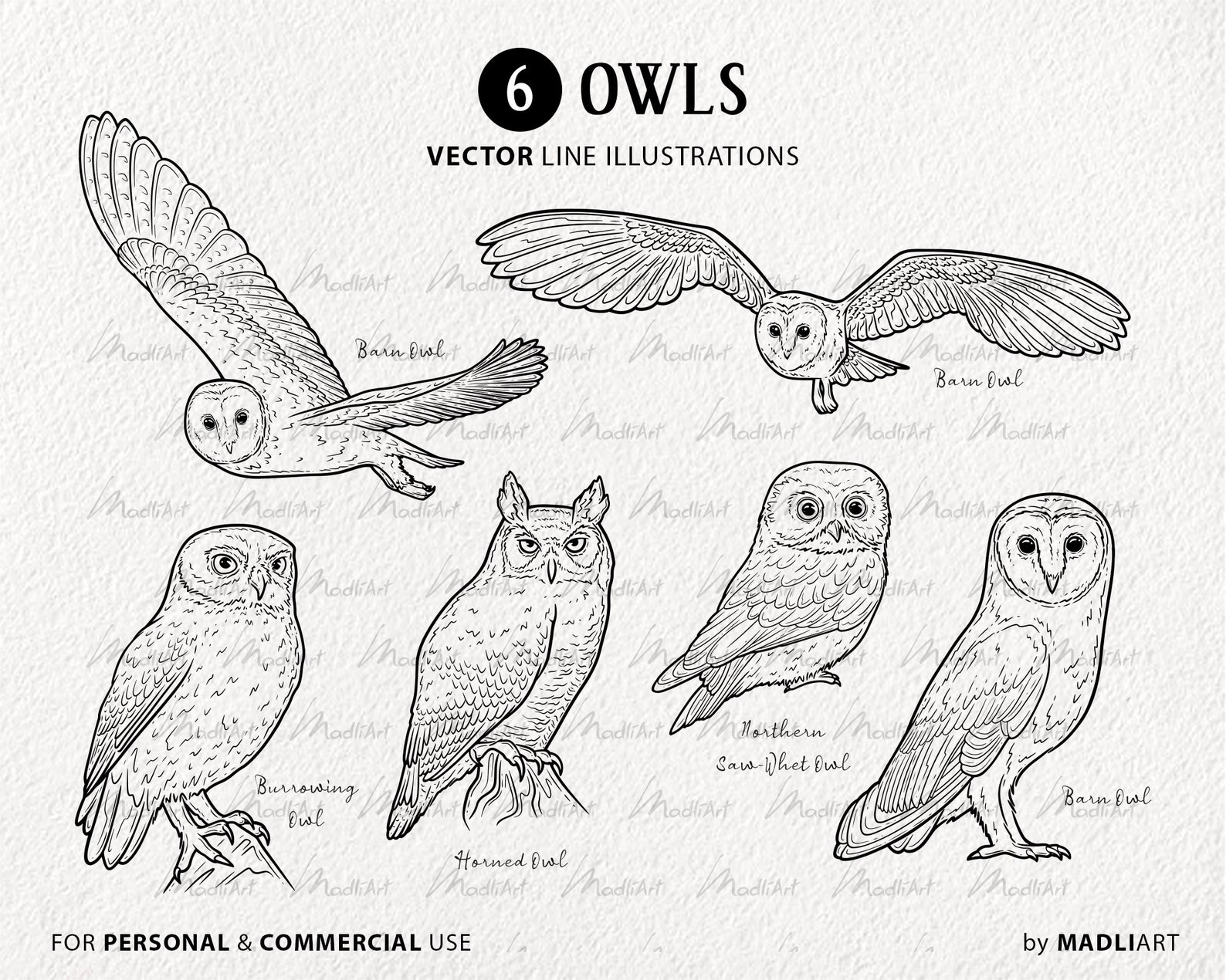 6 Owl SVG Bundle. Owl Clipart Line Drawings. Barn Owl, Horned Owl ...