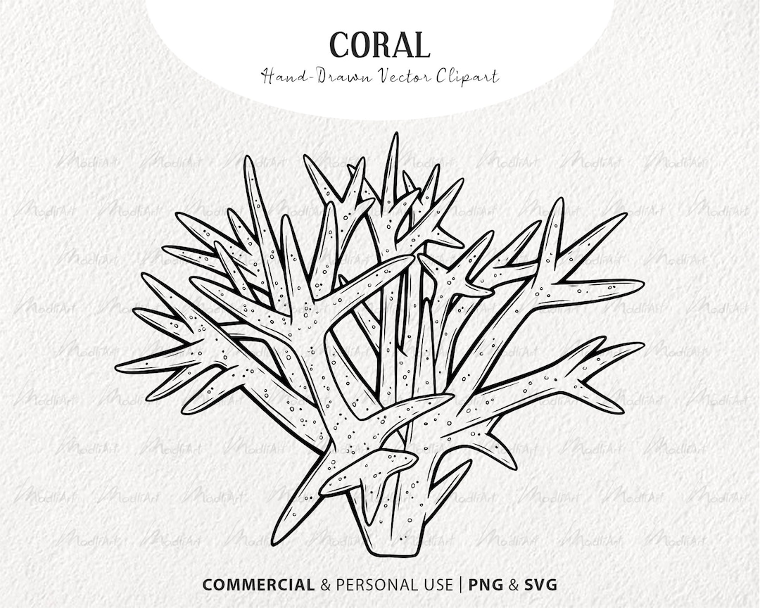 Coral SVG Clipart. Coral Vector Line Art. Coral Reef Illustration ...