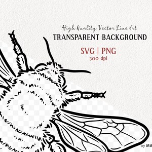 Bee SVG Clipart. Bumblebee Svg Outline Stamp. Honey Bee Vector Line Art ...