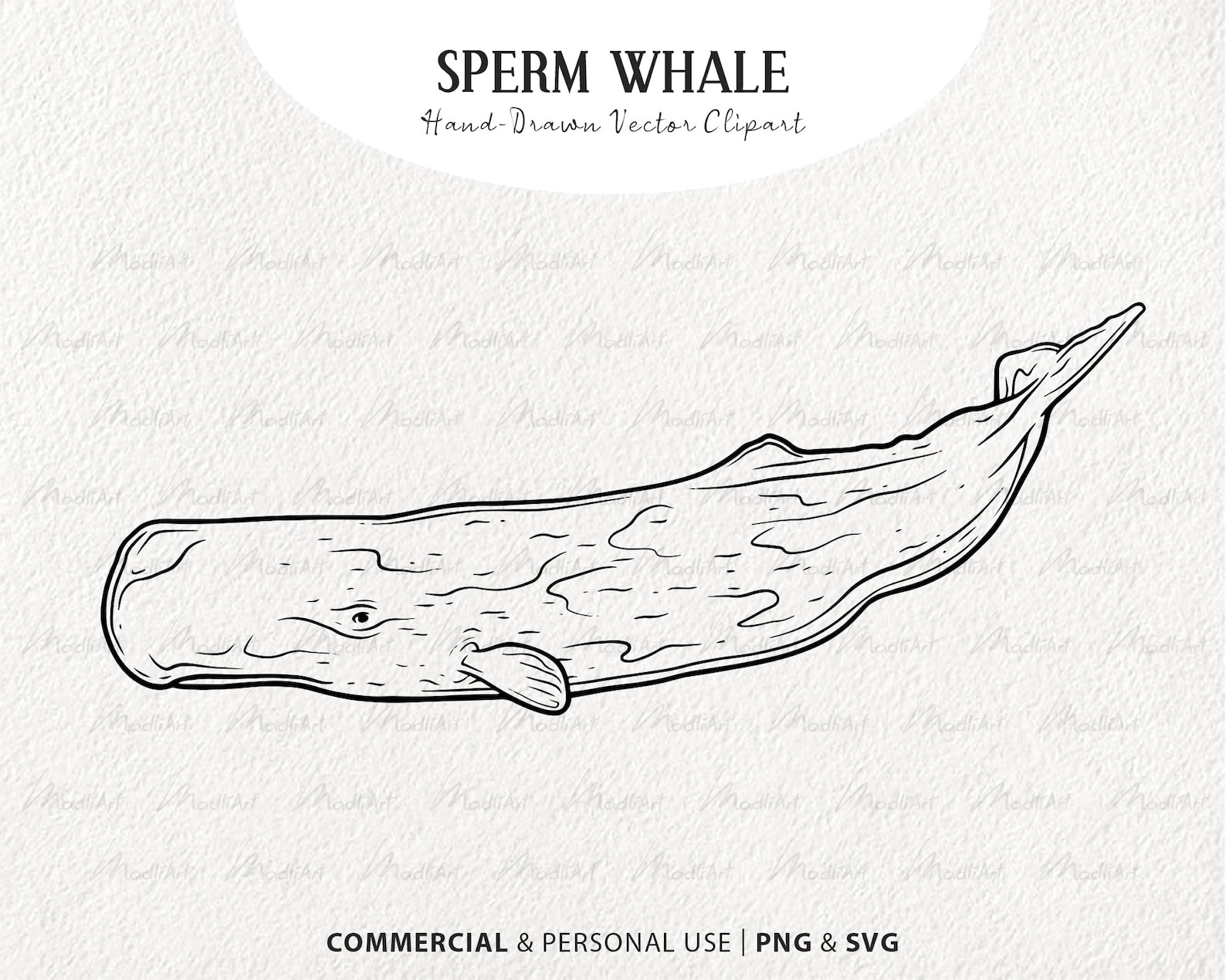 Sperm Whale Vector Clipart. Digital Sea Animal Artwork. - Etsy