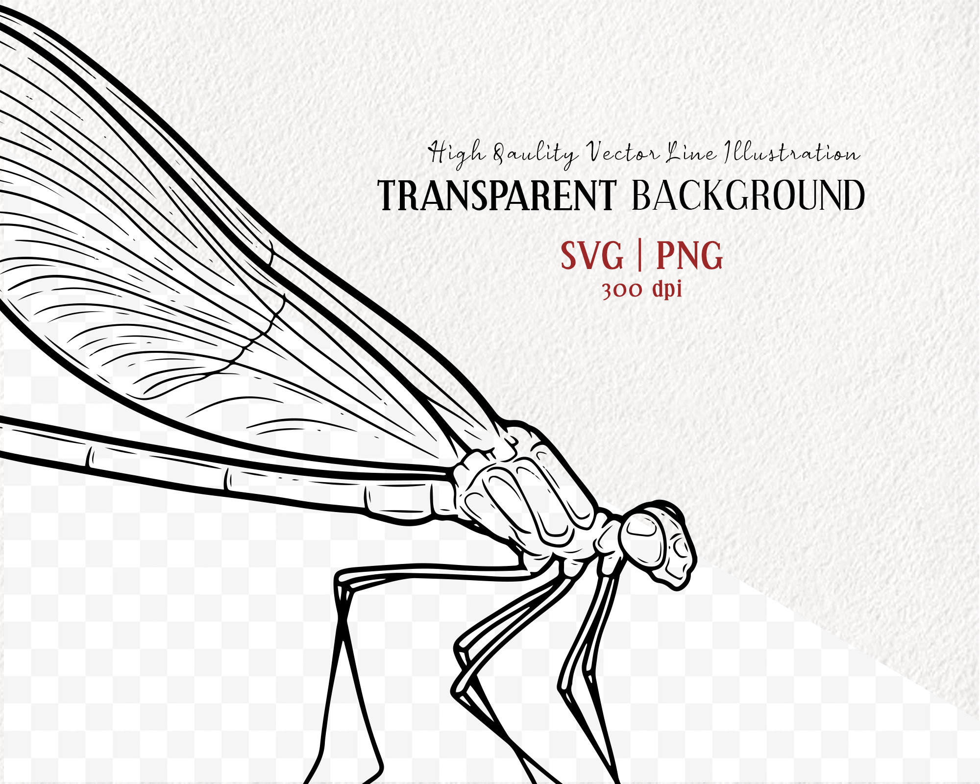 Dragonfly Vector Clipart. Dragonfly Outline Stamps. Damselfly Line ...