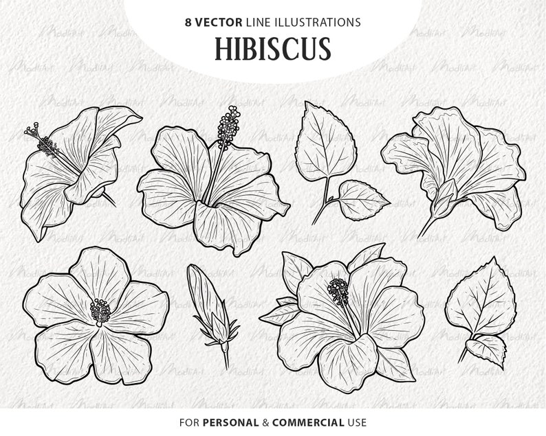 Hibiscus Svg Clipart Bundle 8 Tropical Hawaii Flowers Etsy