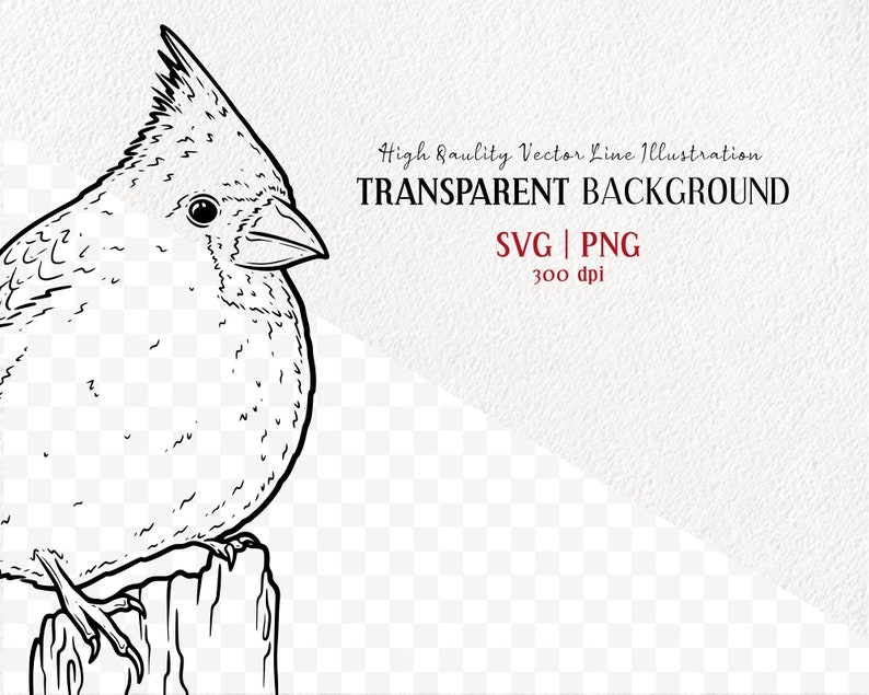 Cardinal Vector Clipart Bundle. Little Red Birds. Flying Birds Outline ...