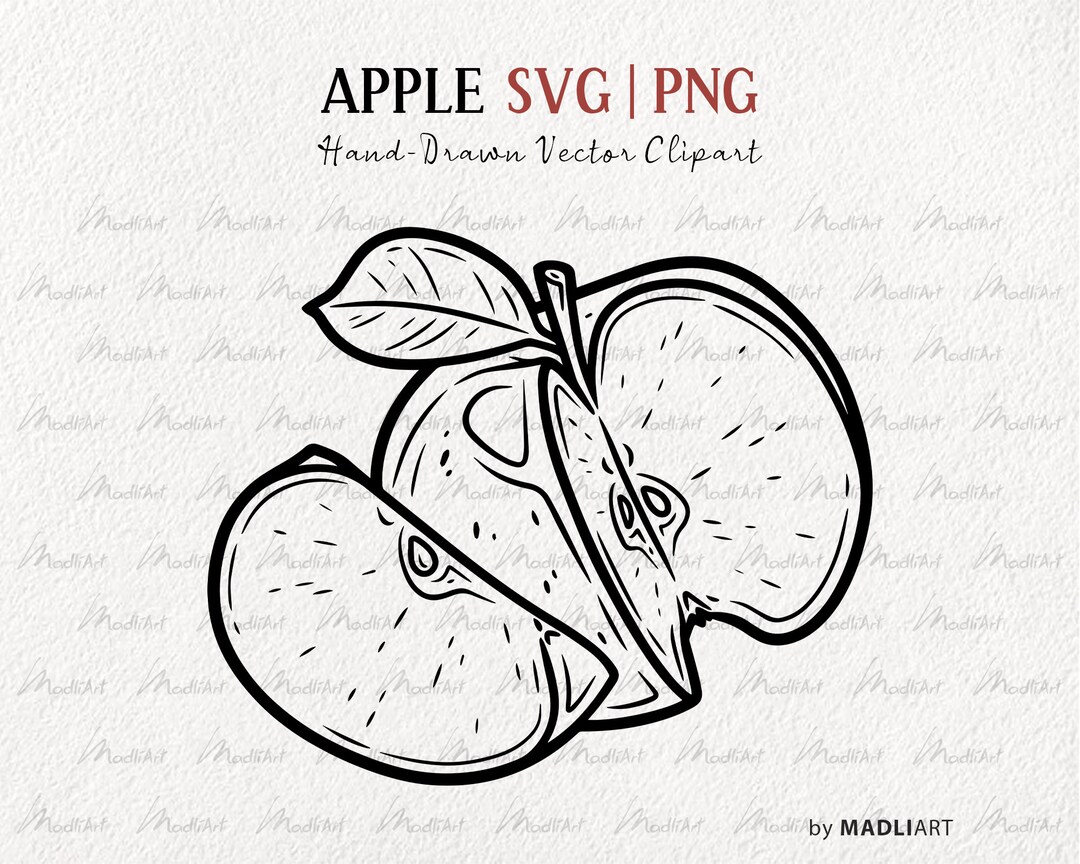 Cut Apple SVG Clipart. Apple Vector Line Art. Autumn Apple Fruit Line ...