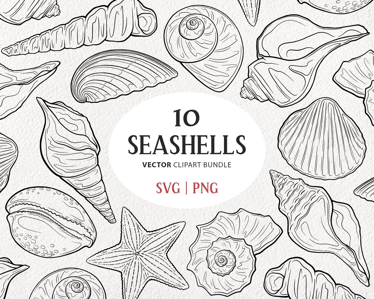Seashell SVG Clipart Bundle. 10 Ocean Themed Vector Line - Etsy