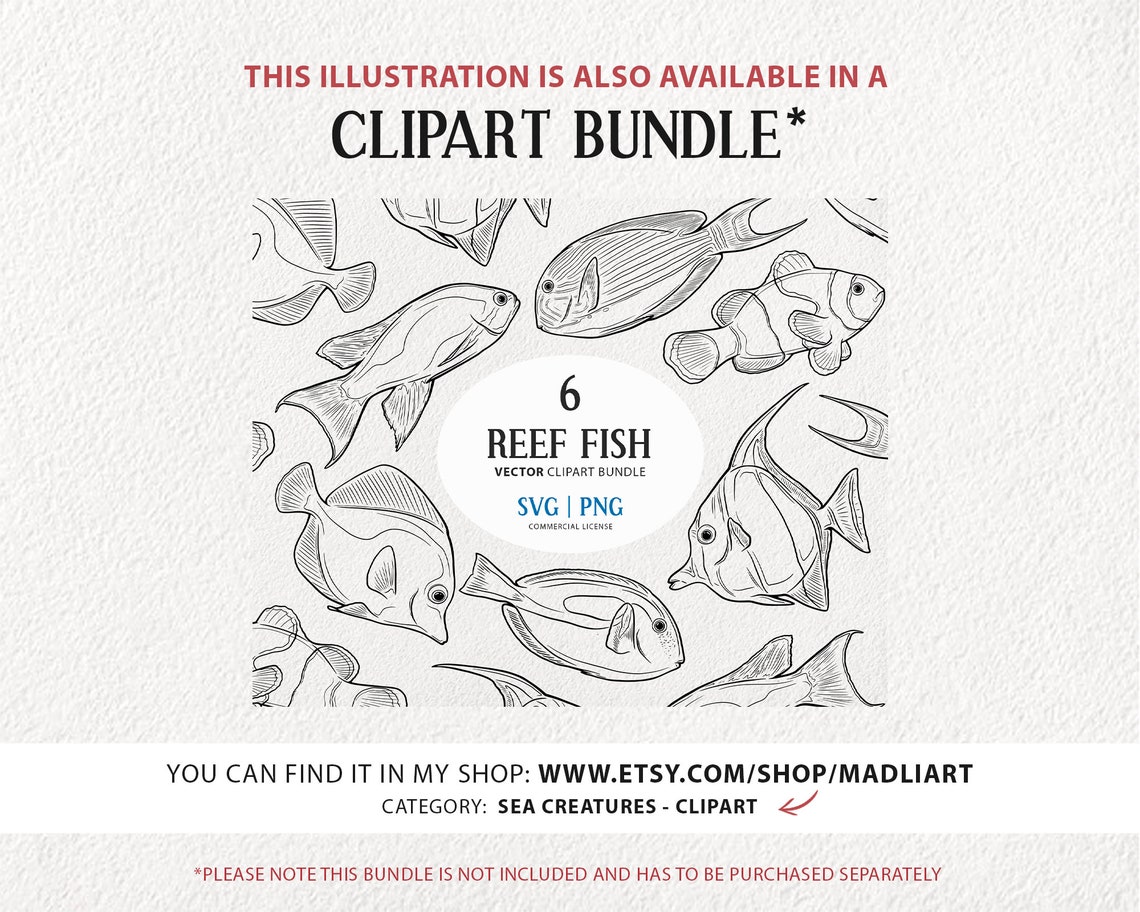 Yellow Tang Vector Clipart. Coral Reef Fish SVG Drawing. Ocean - Etsy