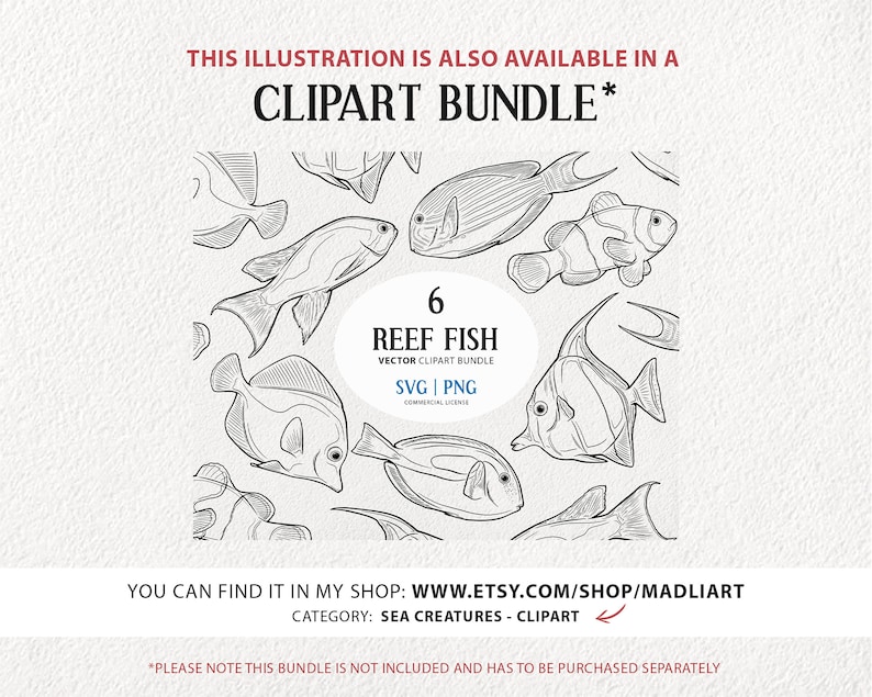 Yellow Tang Vector Clipart. Coral Reef Fish SVG Drawing. Ocean - Etsy