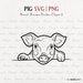 Pig SVG Clipart. Farm Animal Vector Line Art. Cute Piglet Drawing. Pig ...