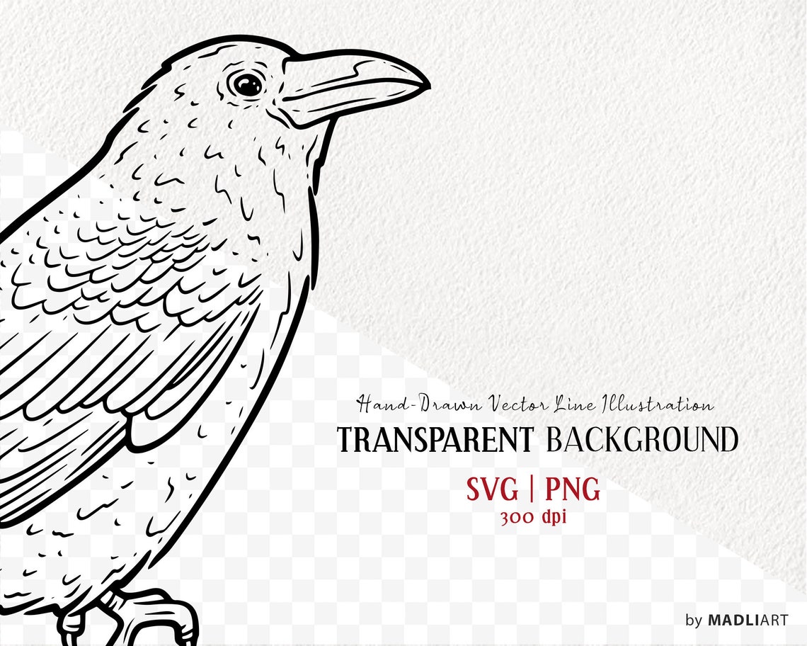 Raven SVG Clipart. Crow Vector Line Drawing. Halloween Crow - Etsy