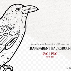 Raven SVG Clipart. Crow Vector Line Drawing. Halloween Crow Clipart ...
