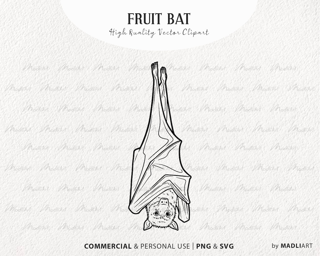 Fruit Bat SVG Clipart. Hanging Bat Vector Art. Flying Fox Line Drawing ...