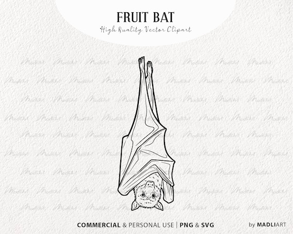 Fruit Bat Black And White Clipart