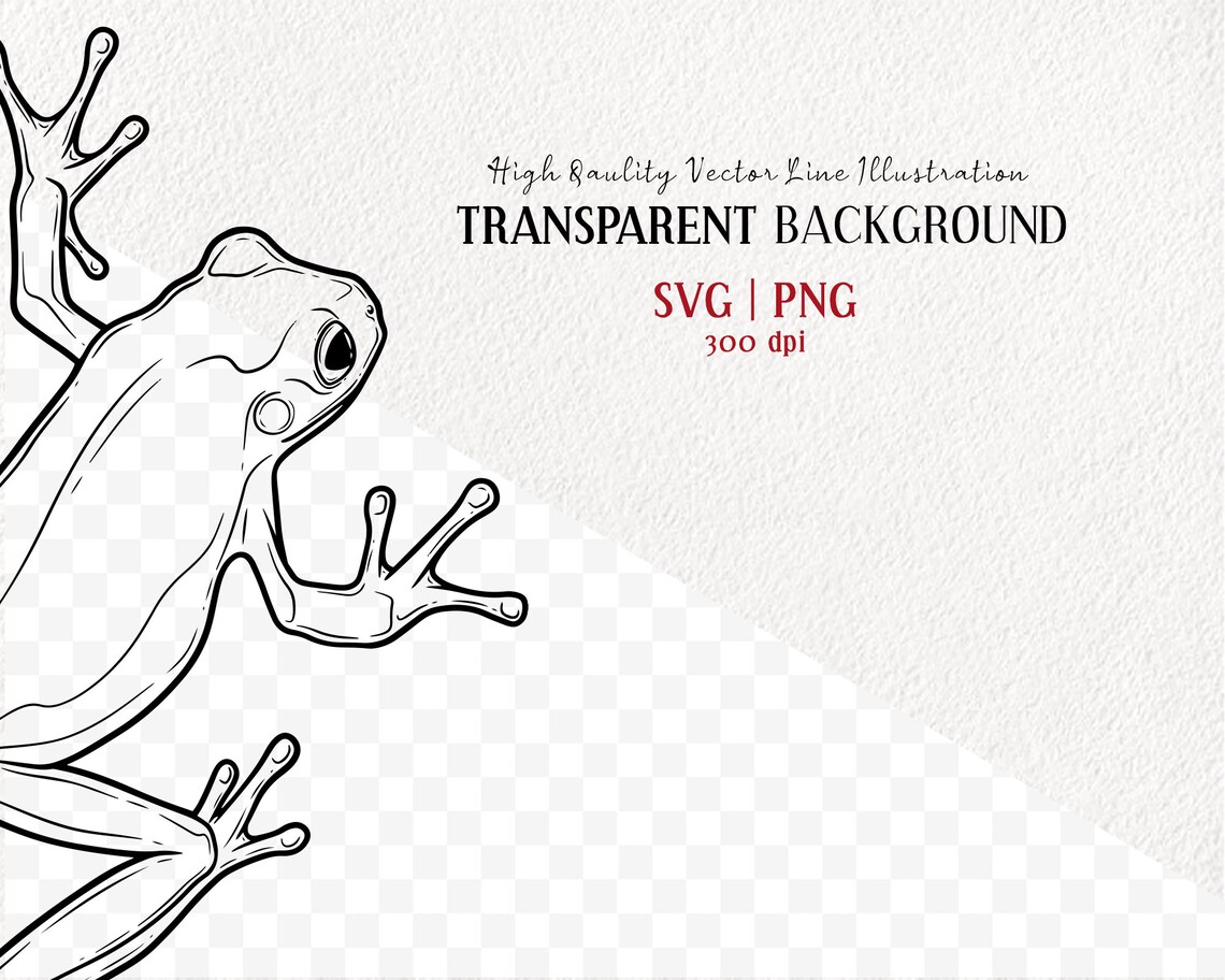 Tree Frog SVG Clipart. Frog Vector Drawing. Green, White and Red-eyed ...
