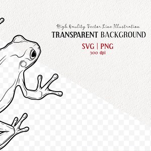 Tree Frog SVG Clipart. Frog Vector Drawing. Green, White and Red-eyed ...
