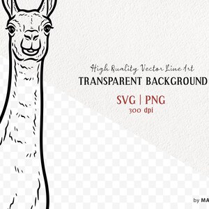 Llama SVG Clipart. Alpaca SVG Line Drawing. Llama Vector Drawing. Llama ...