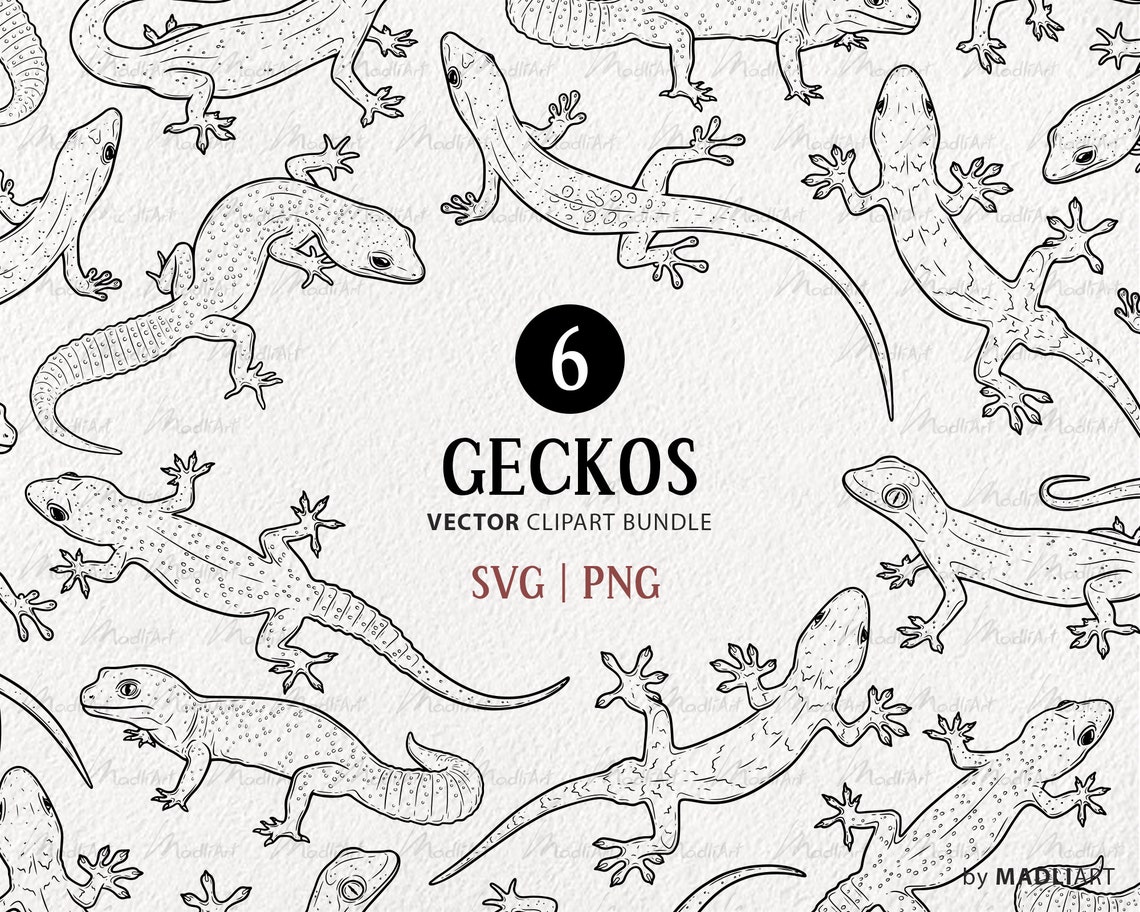 6 Geckos SVG Clipart Bundle. Lizard Vector Drawings. Leopard - Etsy