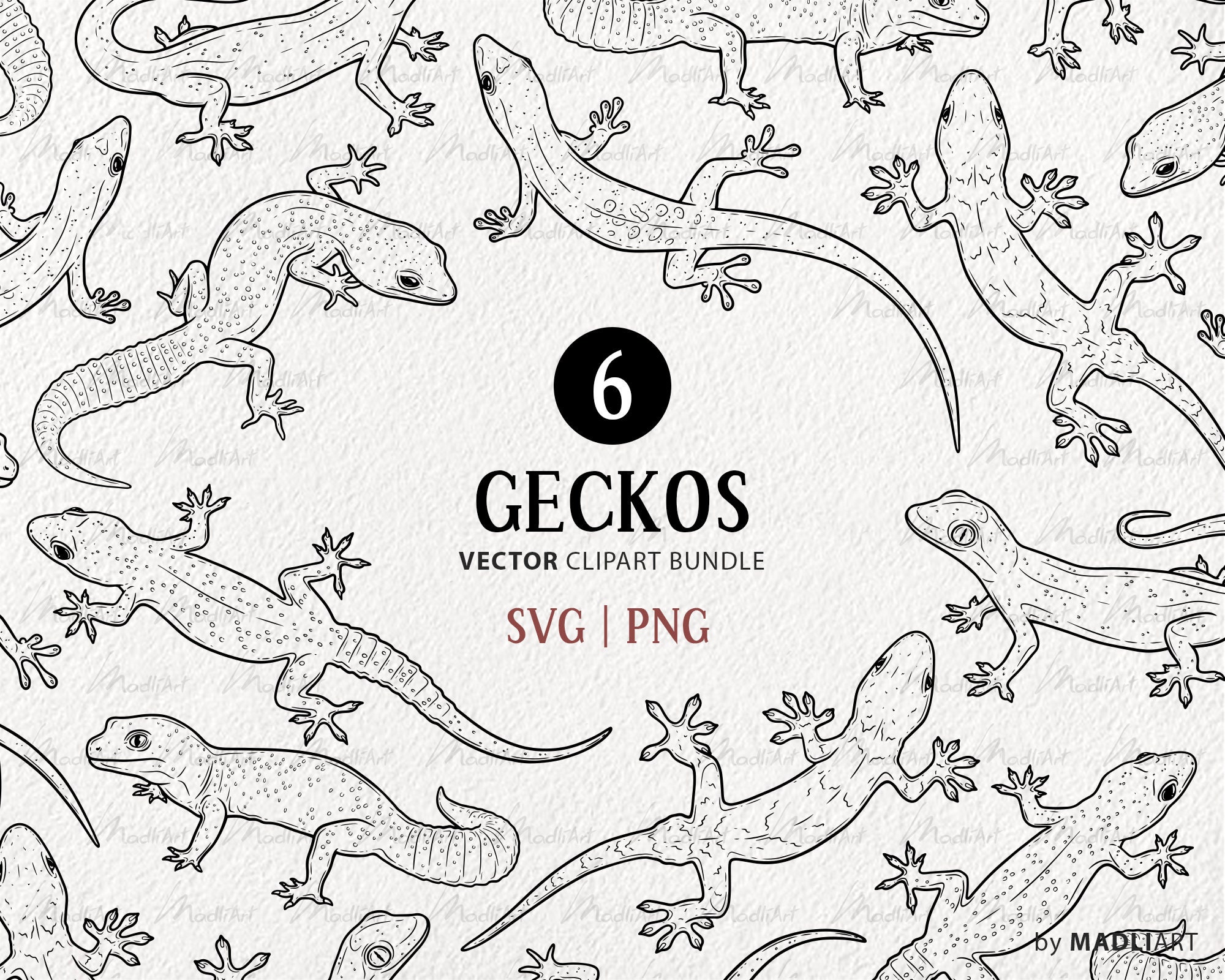 Gecko Clipart Black And White