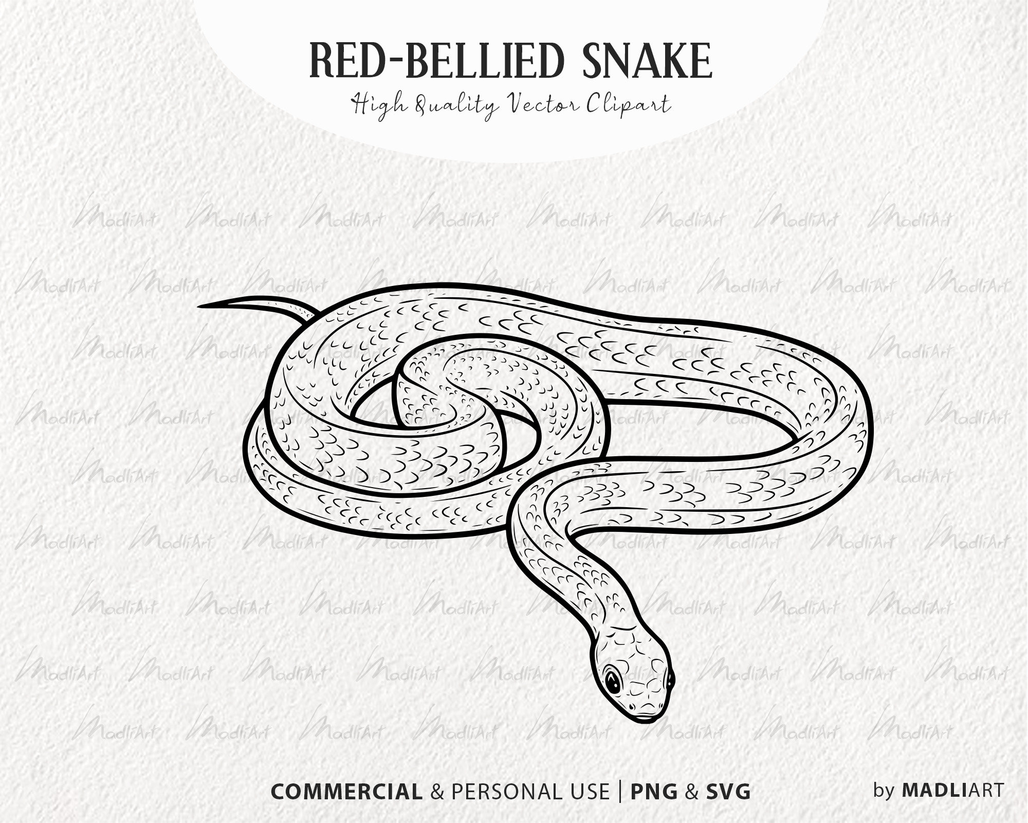 Red-bellied Snake SVG Clipart. Snake Vector Drawing. Cobra Tattoo ...