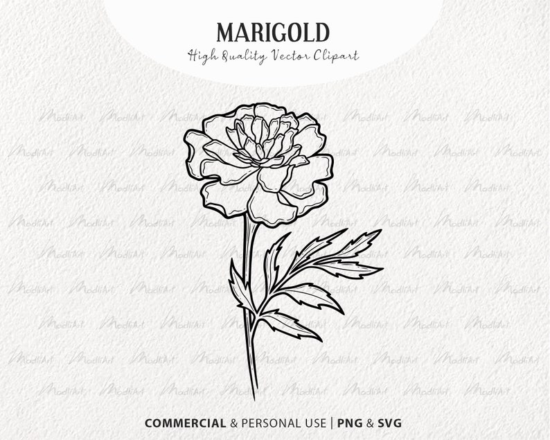 Marigold SVG Clipart. Spring Marigold Vector Blossom. Flower Stalk Line ...