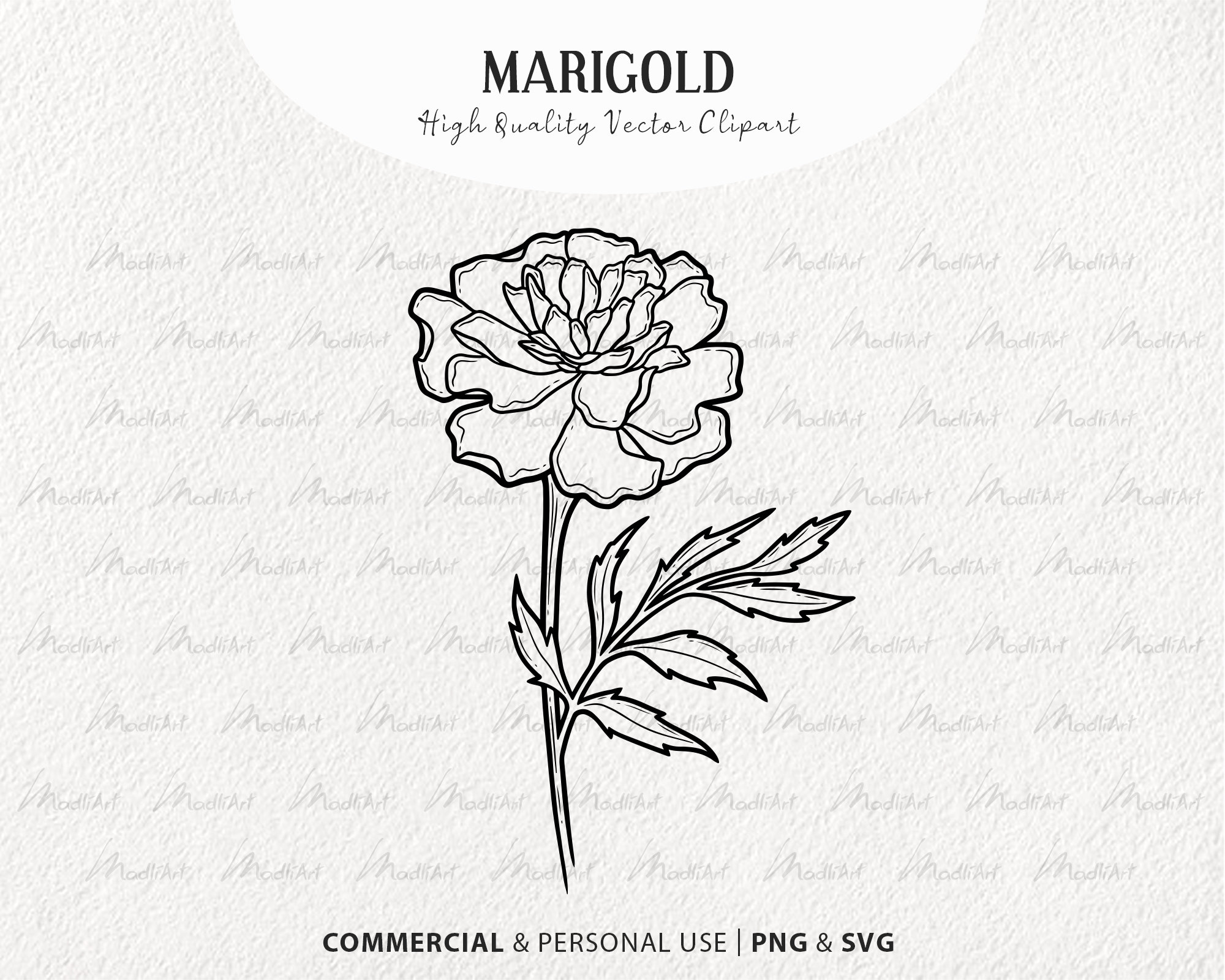Marigold Flower SVG Clipart. Spring Marigold Blossom. Flower Stalk Line ...