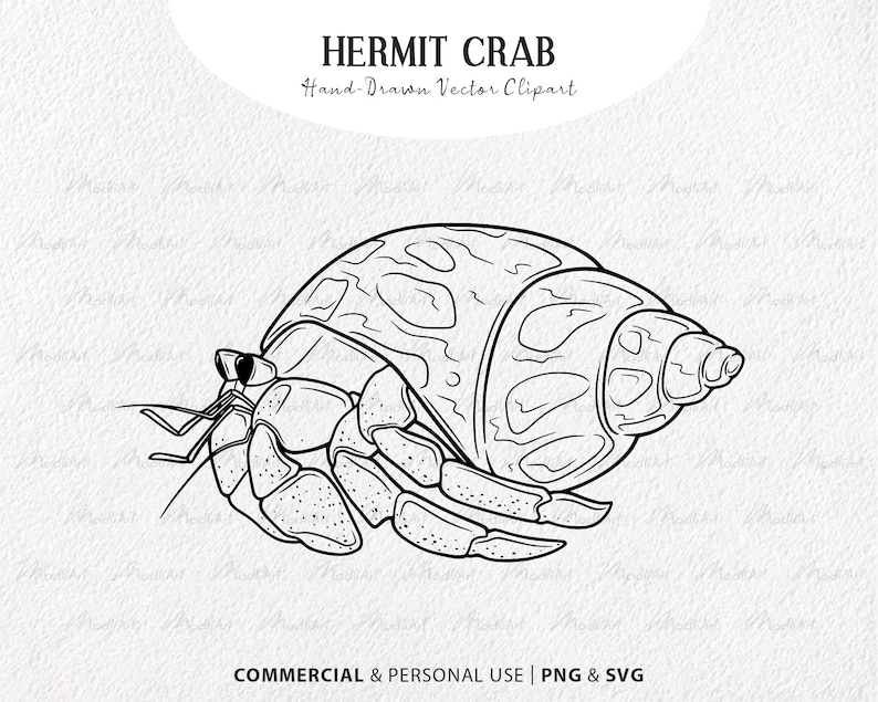Hermit Crab SVG Clipart. Sea Creature Vector Line Drawing. Ocean Hard ...