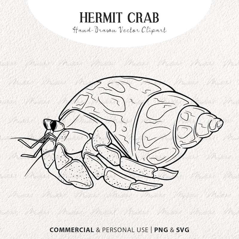 Hermit Crab Shell - Etsy