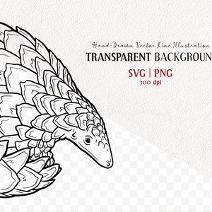 Indian Pangolin SVG Vector Clip Art. Endangered Pangolin Vector Artwork ...
