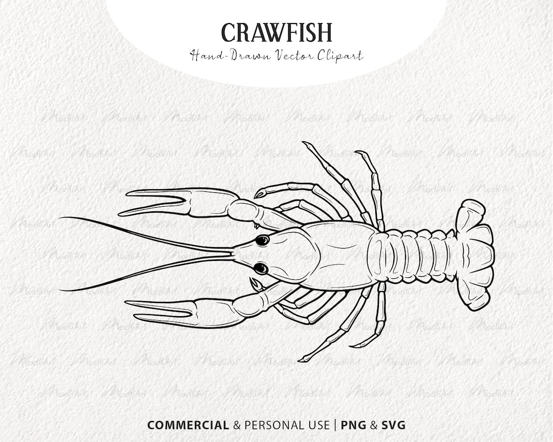 Crawfish SVG Clipart. Crab Svg Line Drawing. Crawfish Vector Drawing ...