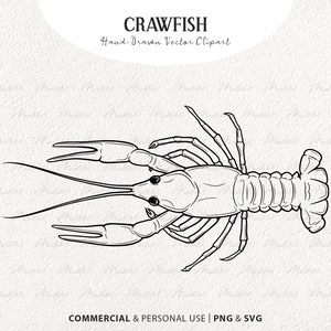 Crawfish SVG Clipart. Crab Svg Line Drawing. Crawfish Vector Drawing ...