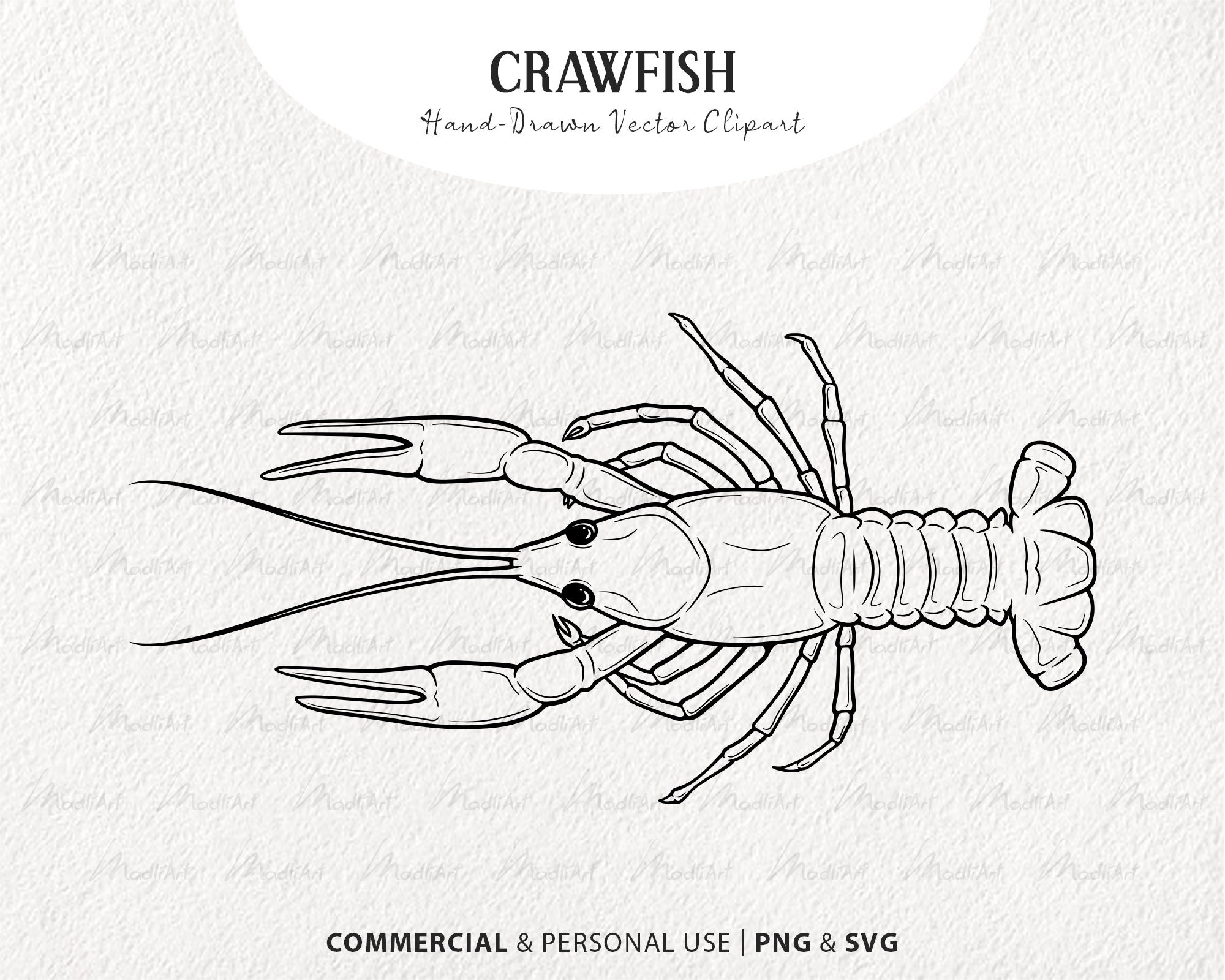 Crawfish Drawing