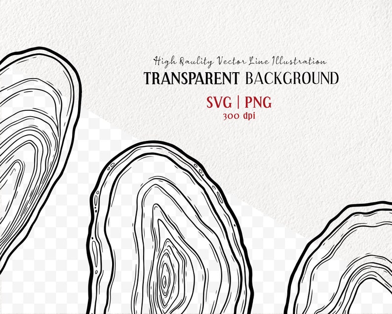 3 Geode Vector Clipart Set. Celestial Gemstone SVG Outline. Spiritual ...