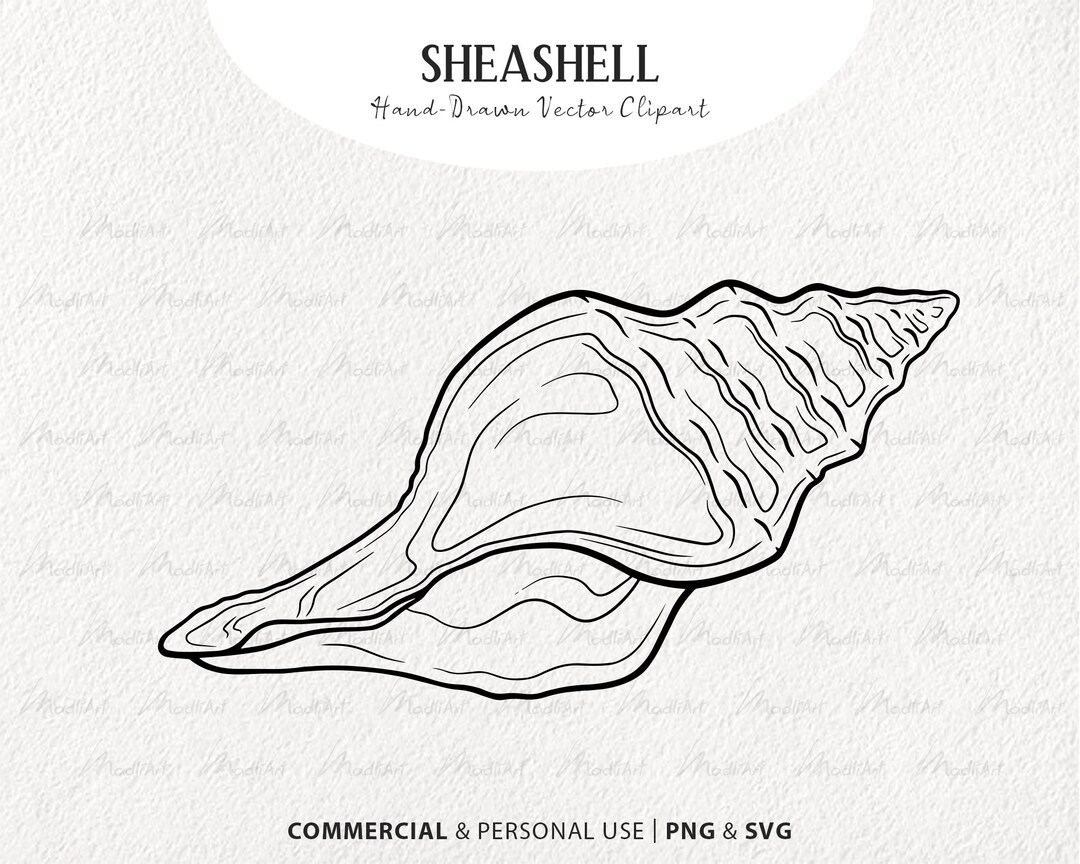 Seashell SVG Clipart. Ocean Themed Vector Line Drawing. Nautical Ocean ...
