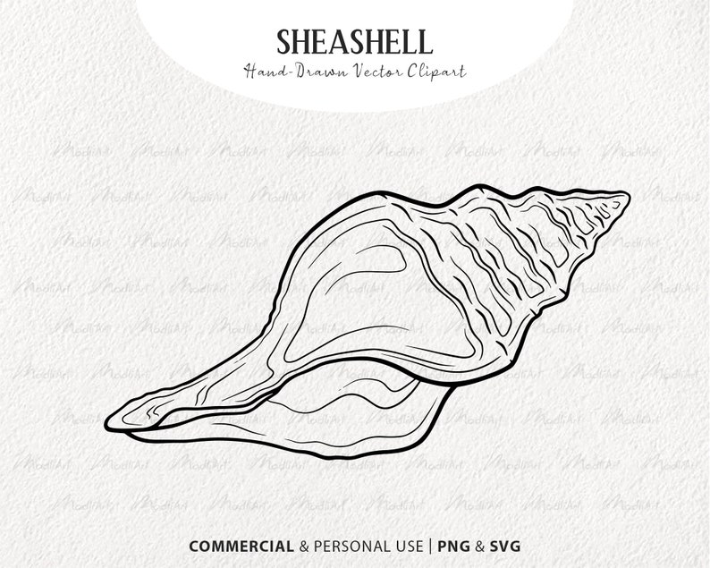Seashell SVG Clipart. Ocean Themed Vector Line Drawing. - Etsy