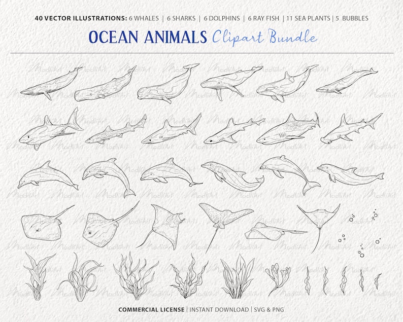 40 Ocean Animals Clipart Bundle. Sea Animals Vector Line Art. - Etsy