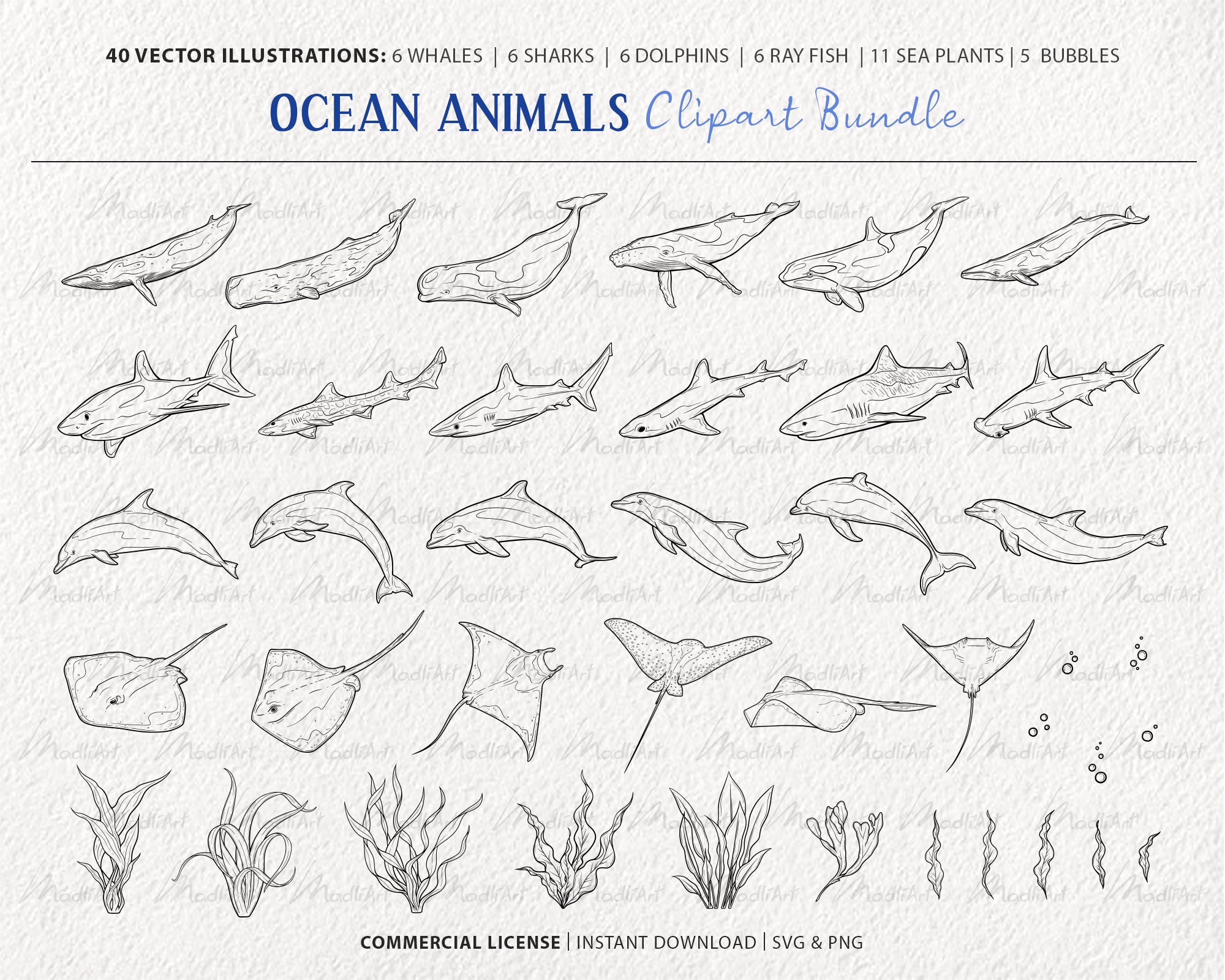 40 Ocean Animals Clipart Bundle. Sea Animals Vector Line Art. - Etsy