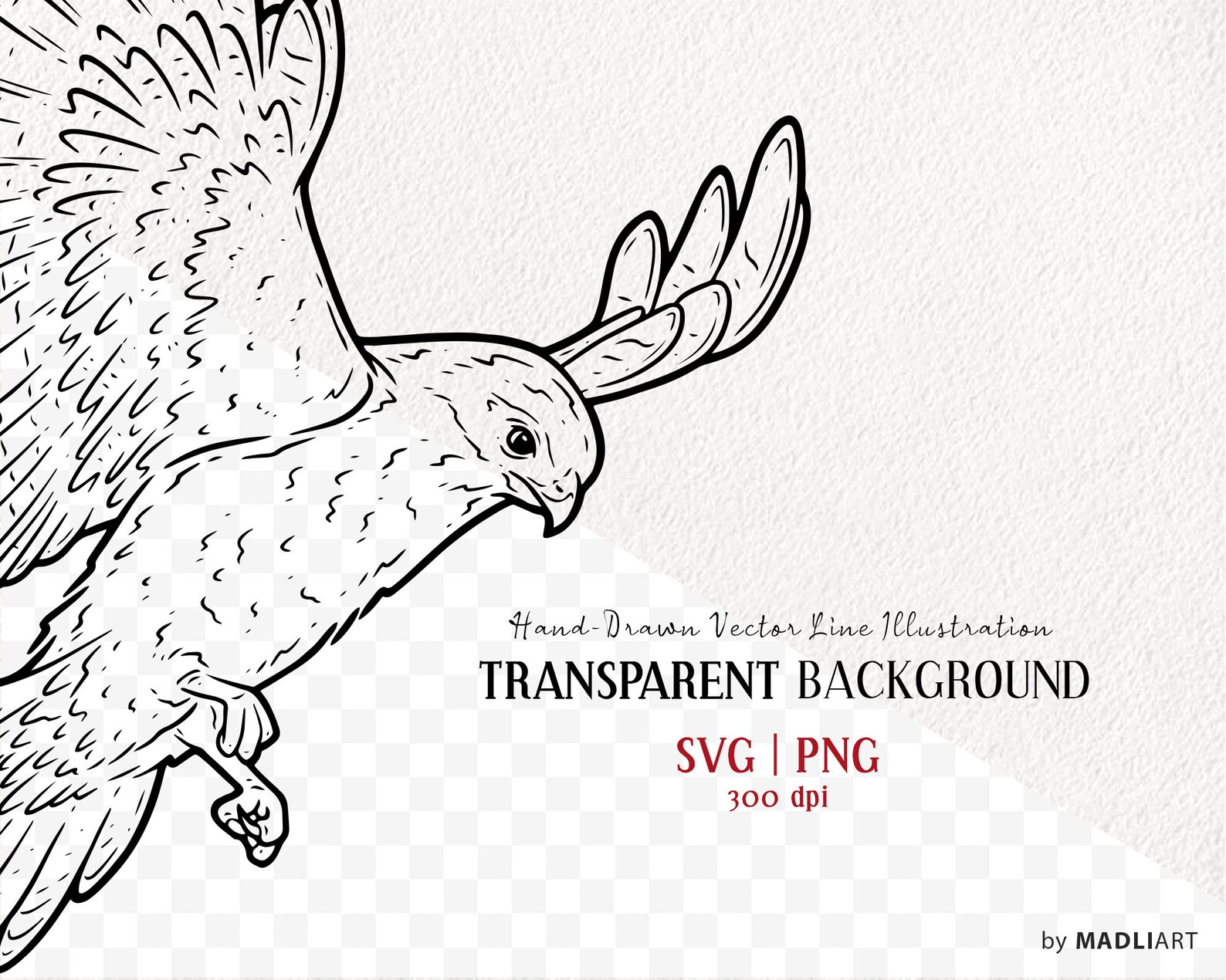 Common Buzzard SVG Clipart Bundle. Hawk SVG Bird Outline. Eagle Vector ...