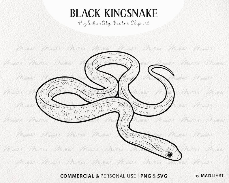 Black Kingsnake SVG Clipart. Snake Vector Drawing. Cobra Tattoo Design ...