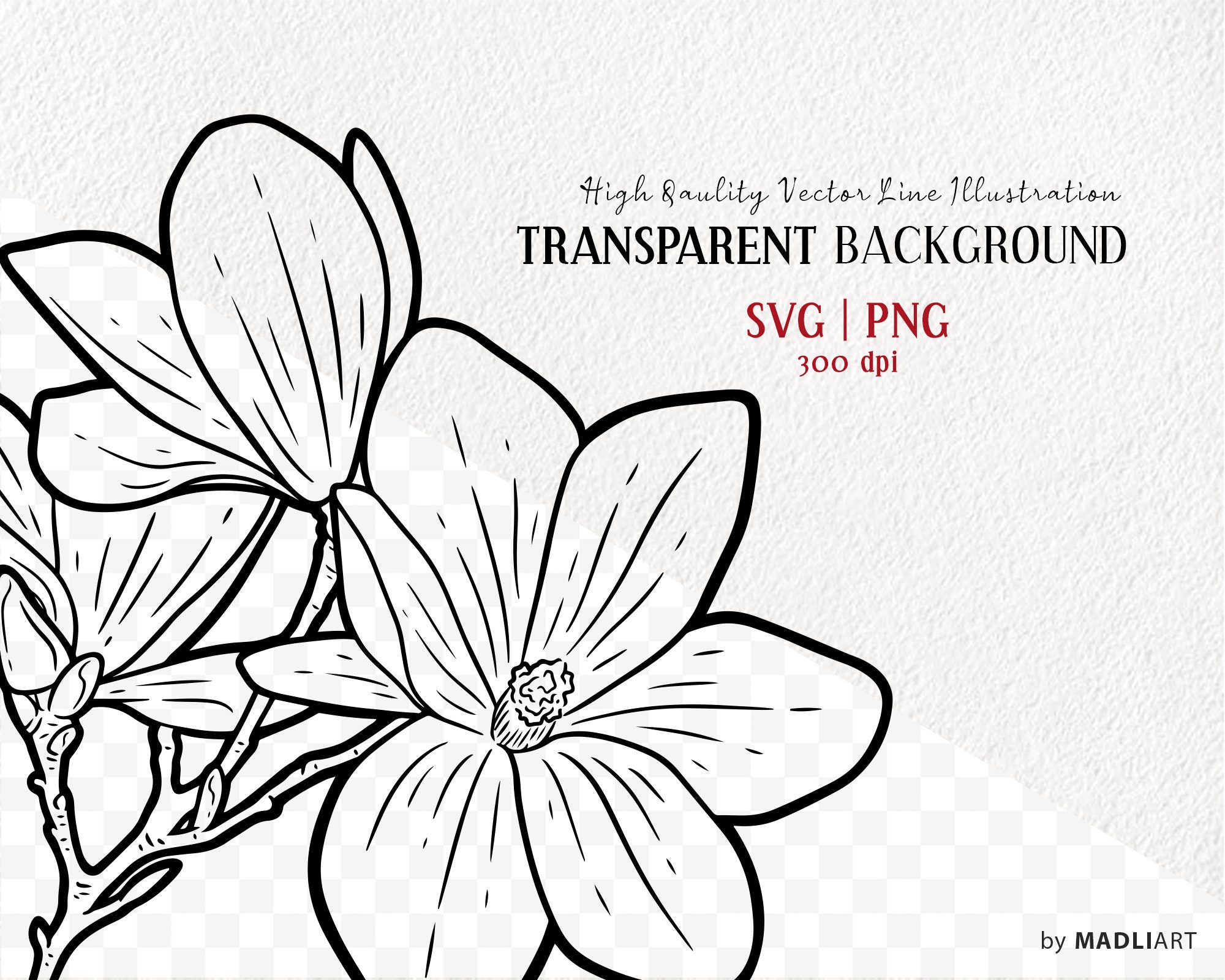 Magnolia Flower SVG Clipart. Magnolia Blossom Vector - Etsy