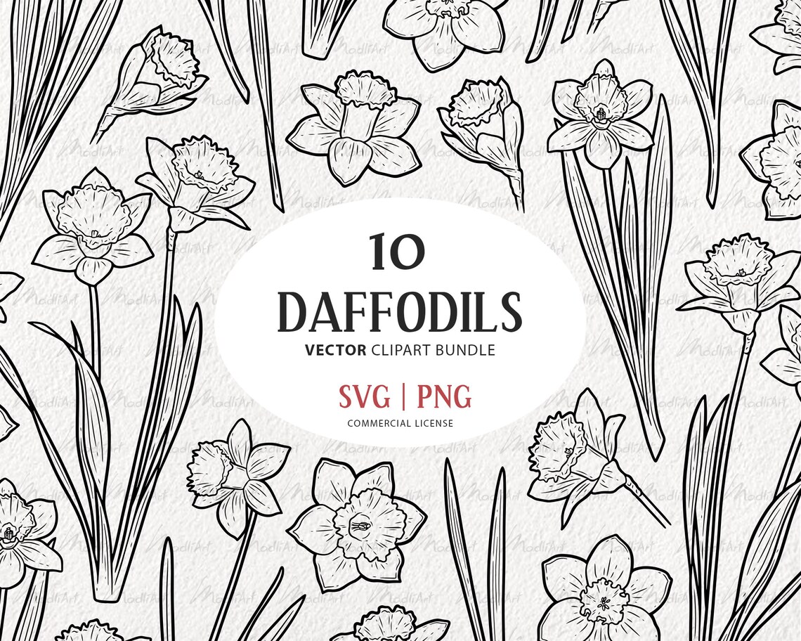 10 Daffodils SVG Clipart Bundle. Spring Daffodil Blossoms. - Etsy
