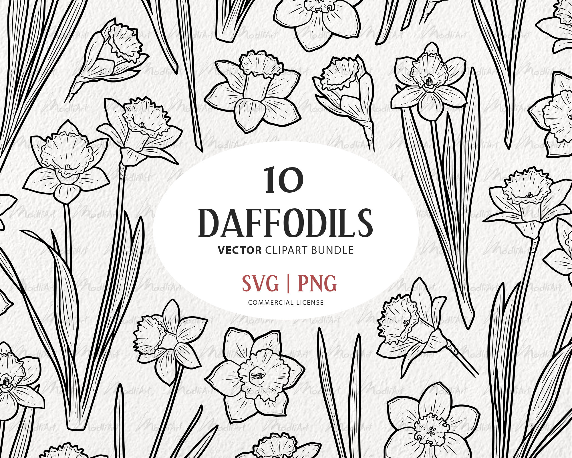 10 Daffodils SVG Clipart Bundle. Spring Daffodil Blossoms. - Etsy Australia