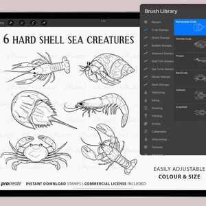 6 Procreate Hard Shell Sea Creature Stamps. Marine Animal - Etsy