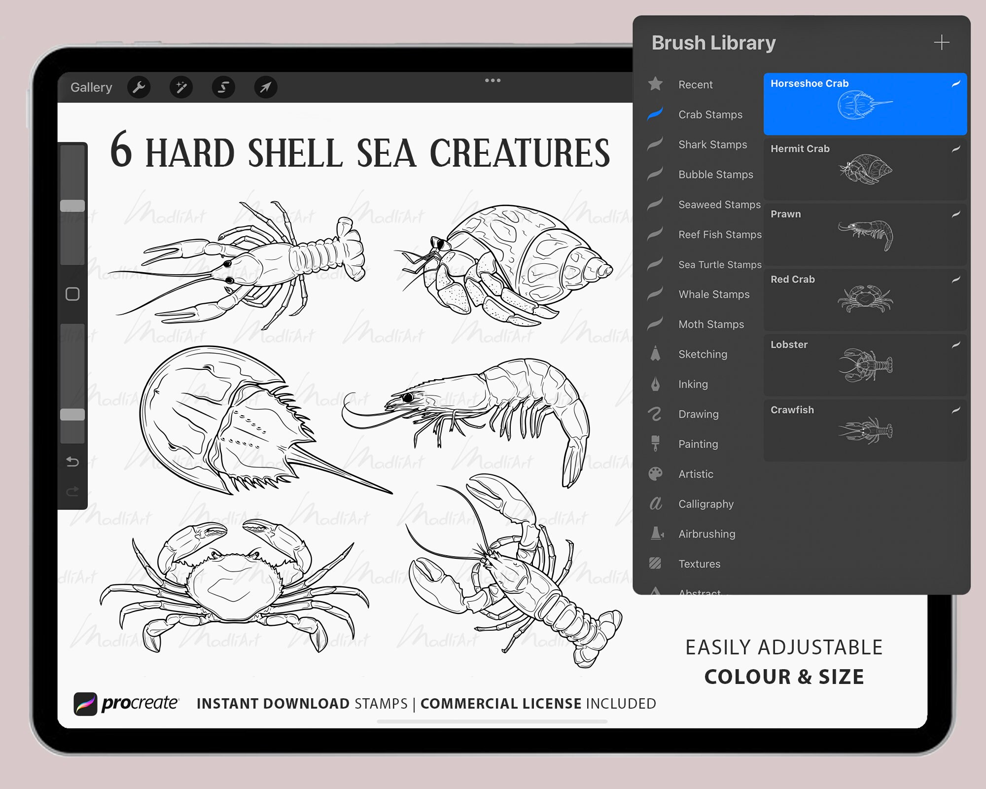 6 Procreate Hard Shell Sea Creature Stamps. Marine Animal - Etsy