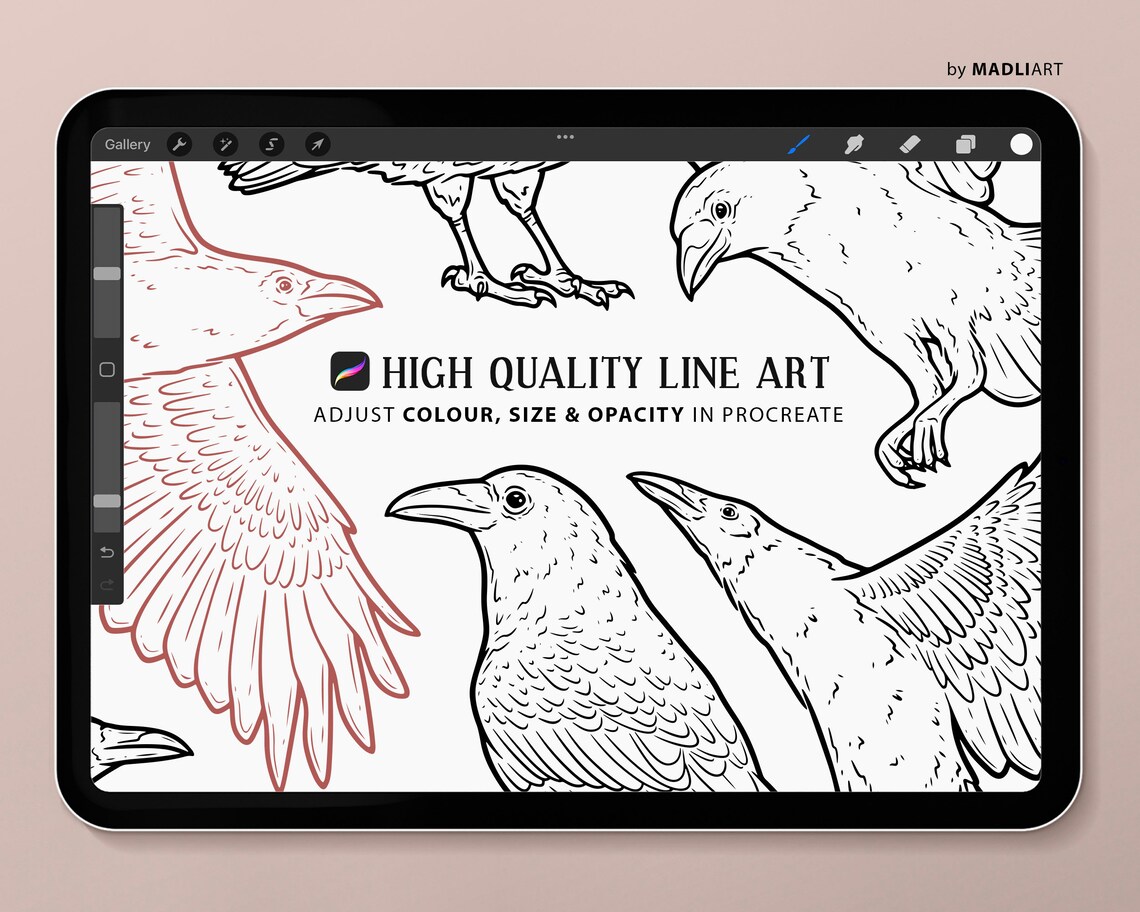 7 Procreate Raven Stamps. Crow Tattoo Design. Raven Clipart - Etsy