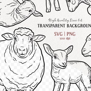 Sheep SVG Clipart Bundle. Lamb Vector Line Art. Farm Animal Drawing ...